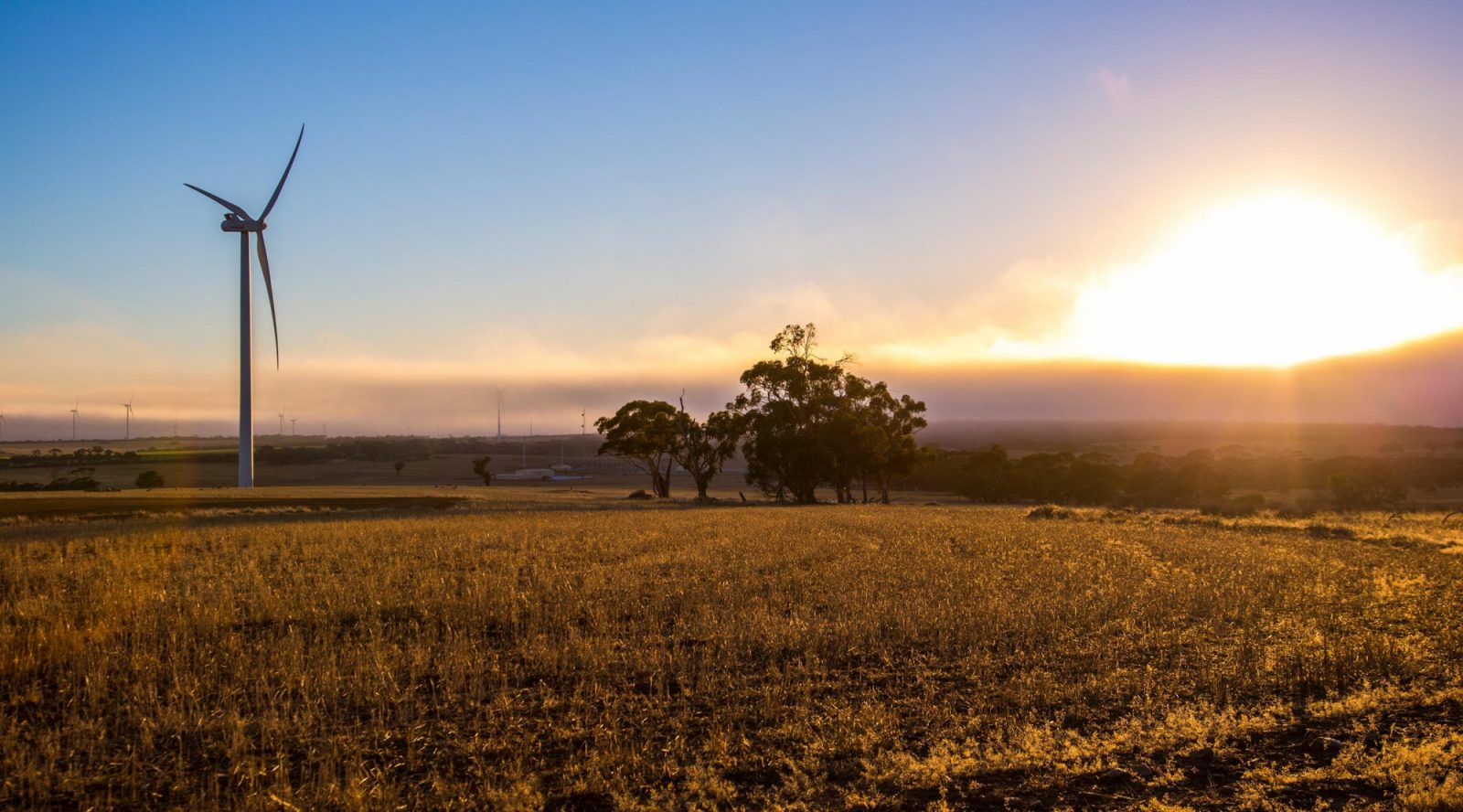 Clean Energy Council | Renewable Energy Australia